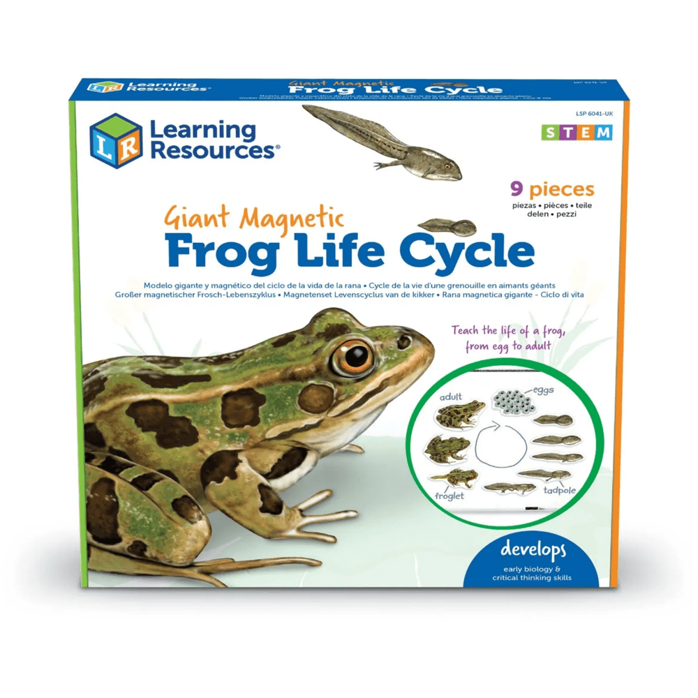 Buy Learning Resources - Giant Magnetic Frog Life Cycle Demonstration ...