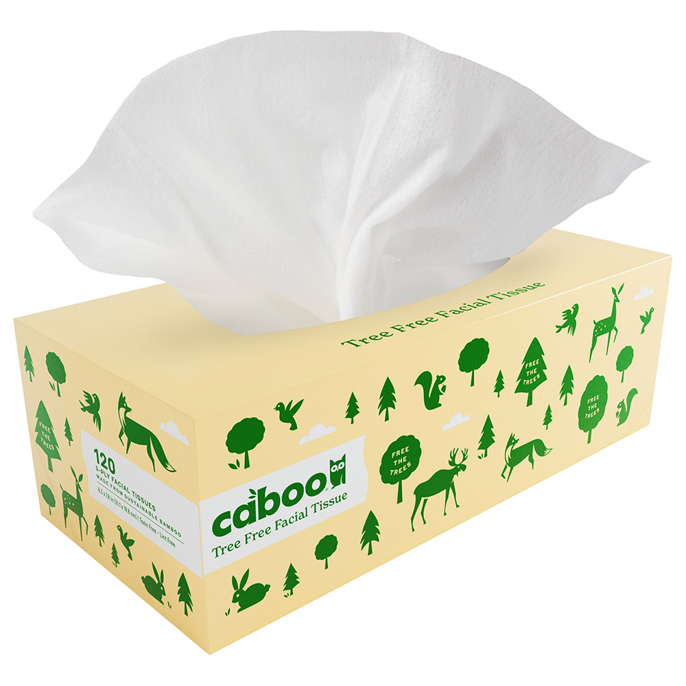 Buy Caboo - Flat Boxed Facial Tissue - 120pcs in UAE | Mumzworld