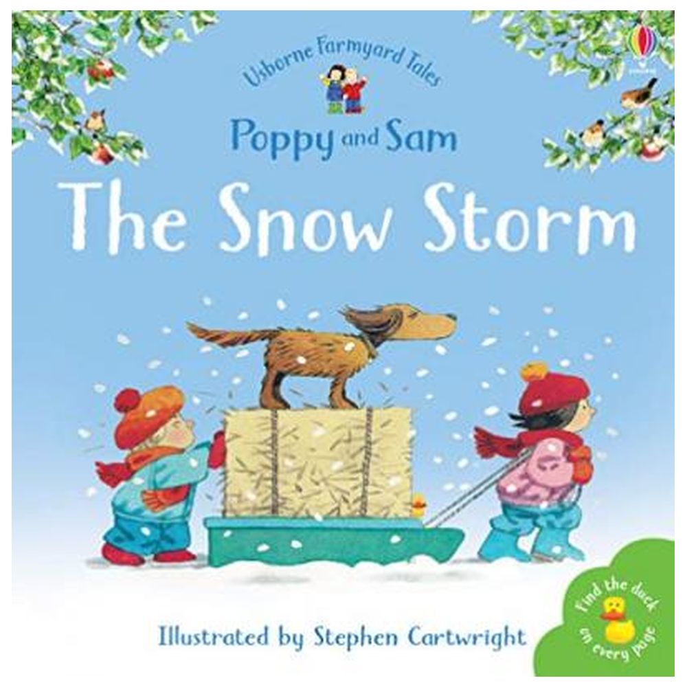 Buy Usborne Books - The Snow Storm in UAE | Mumzworld