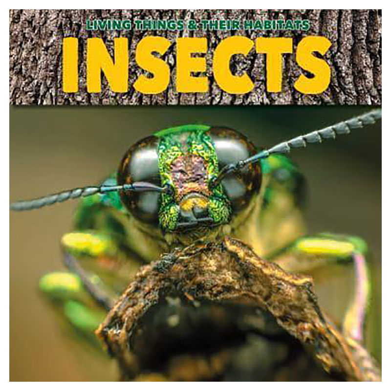 Buy Living Things & Their Habitats: Insects in KSA | Mumzworld