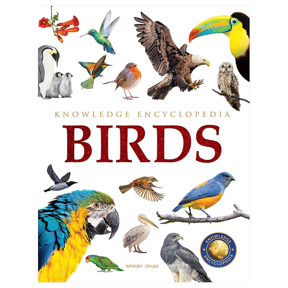Buy Animals Birds Knowledge Encyclopedia in KSA | Mumzworld