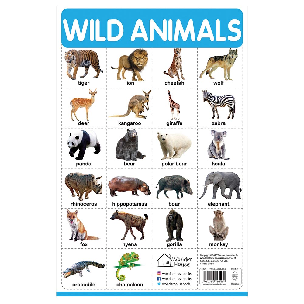 Buy Prakash Books - Wild Animals Wall Chart in KSA | Mumzworld