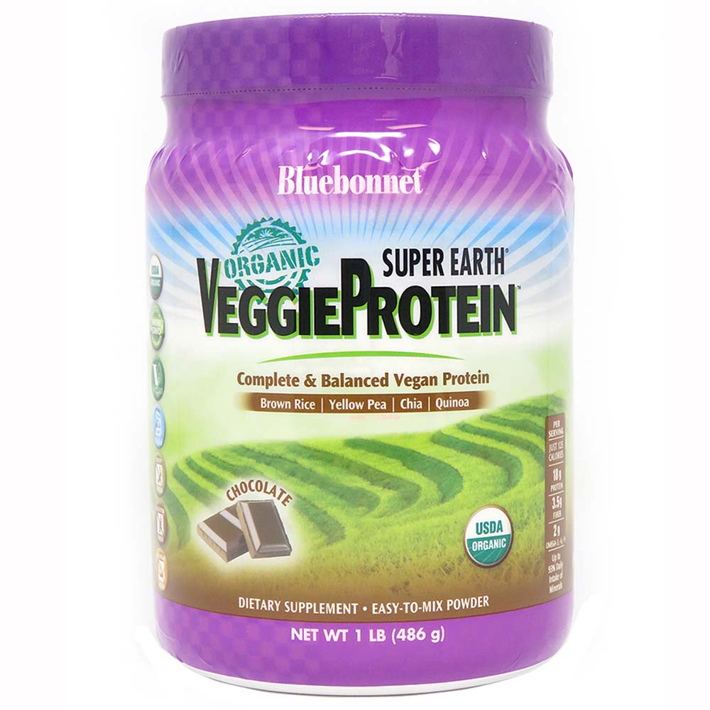 Buy Bluebonnet Earth Veggie Protein Powder Chocolate Flavor 1Lb in UAE ...