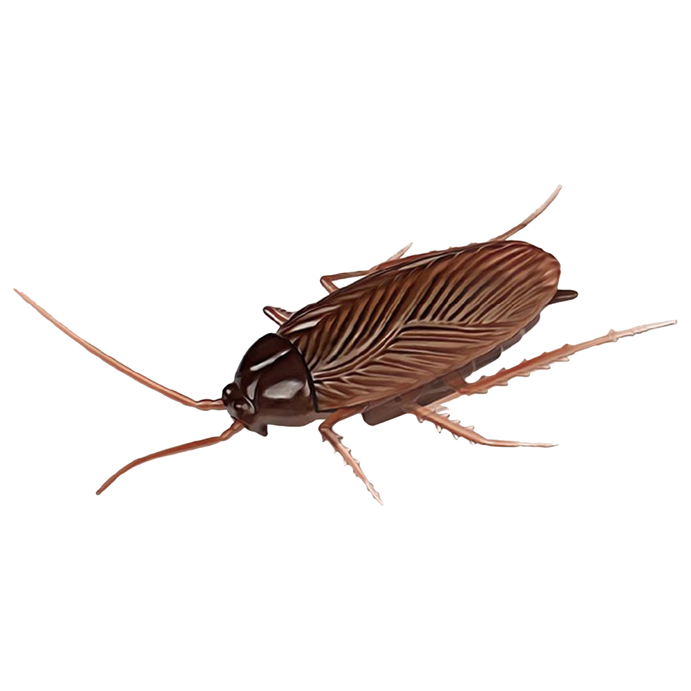 Fitto - Remote Control Realistic Fake Cockroach Toy - Brown Fitto - Remote Control Realistic Fake Cockroach Toy - Brown