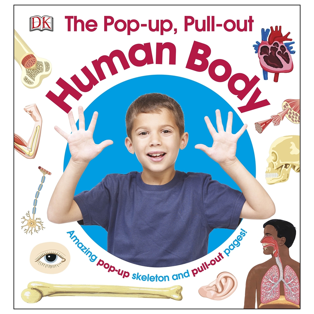 Buy The Pop-Up, Pull Out Human Body at The Affordable Price - Mumzworld