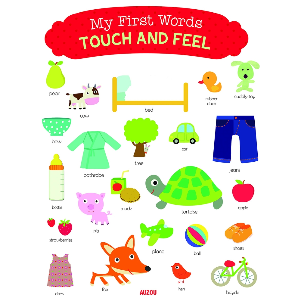Buy My First Words - Touch And Feel: New Edition in UAE | Mumzworld