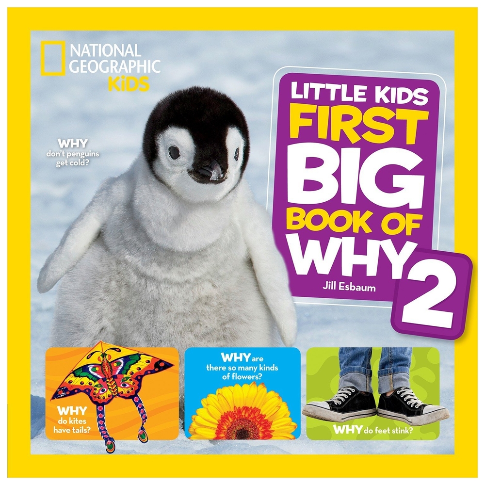 Buy First Big Book Of Why 2 in KSA | Mumzworld
