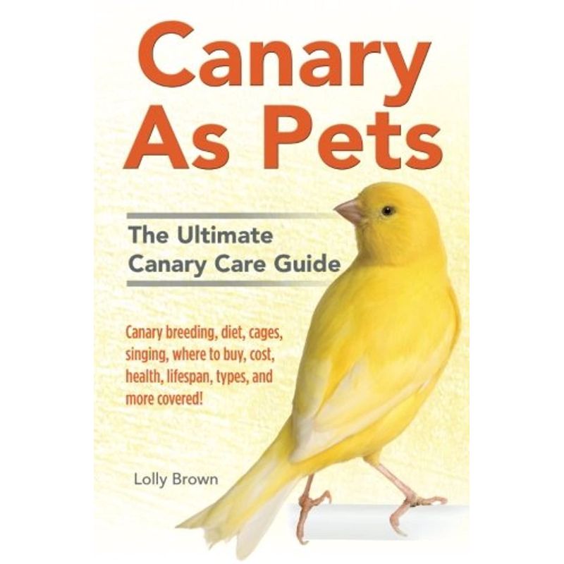 Buy Canary As Pets in UAE | Mumzworld
