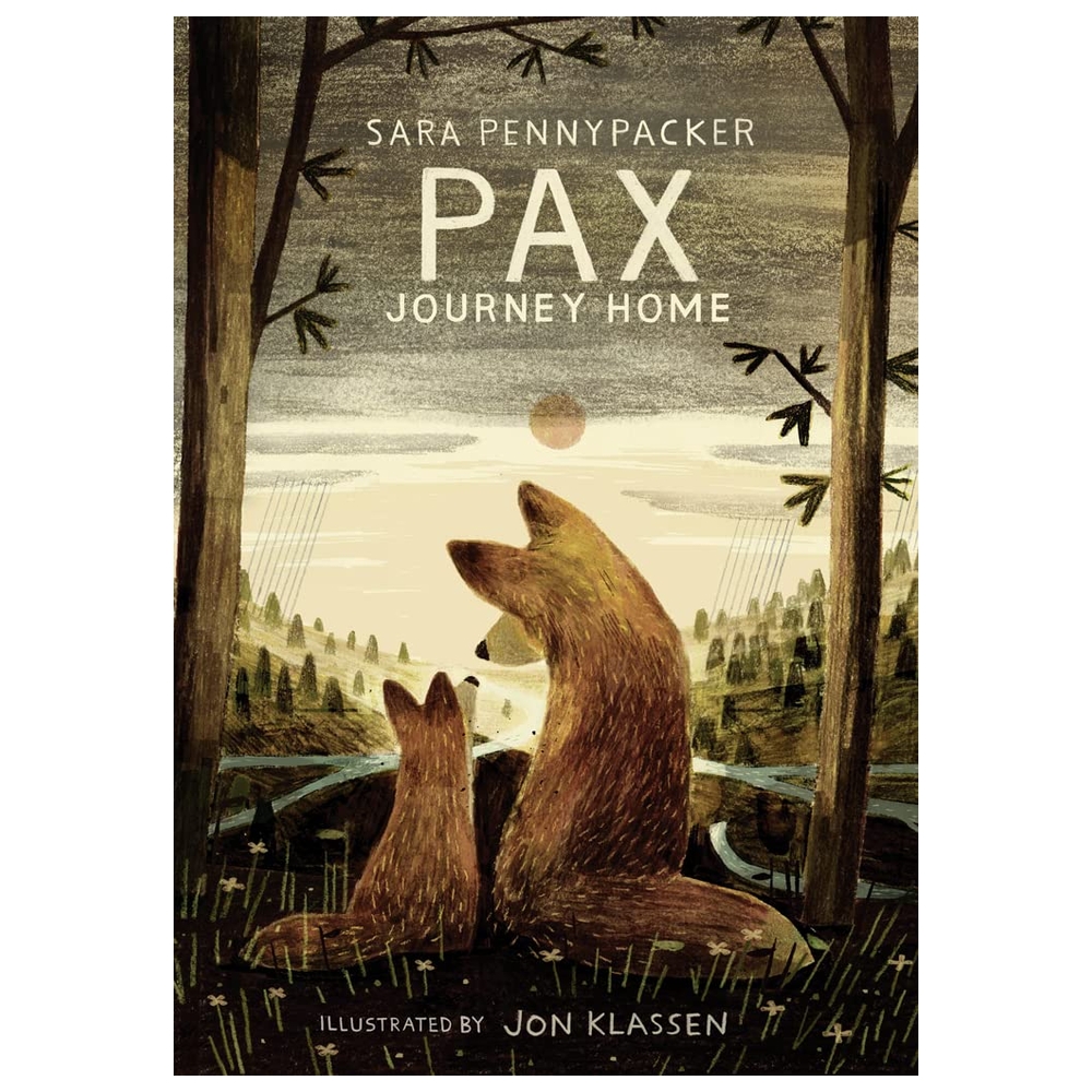 Buy Pax Journey Home in UAE | Mumzworld