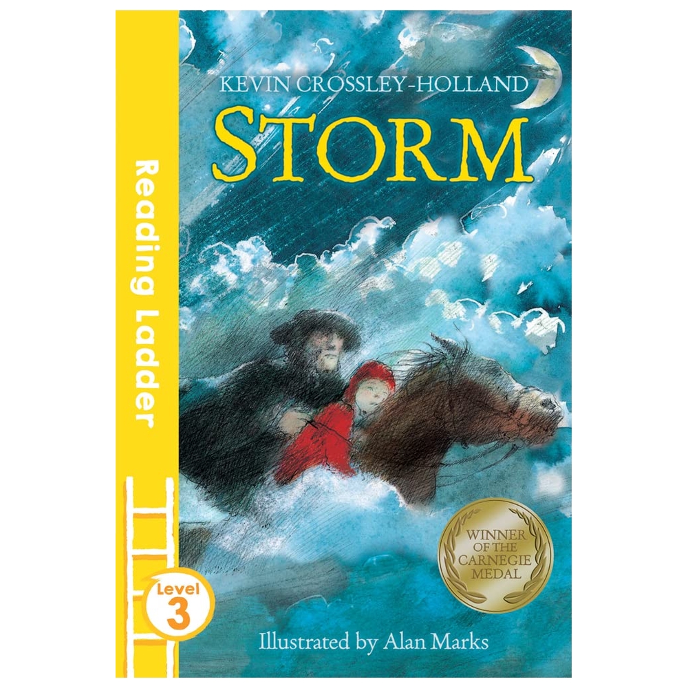Buy Storm (Reading Ladder Level 3) in UAE | Mumzworld