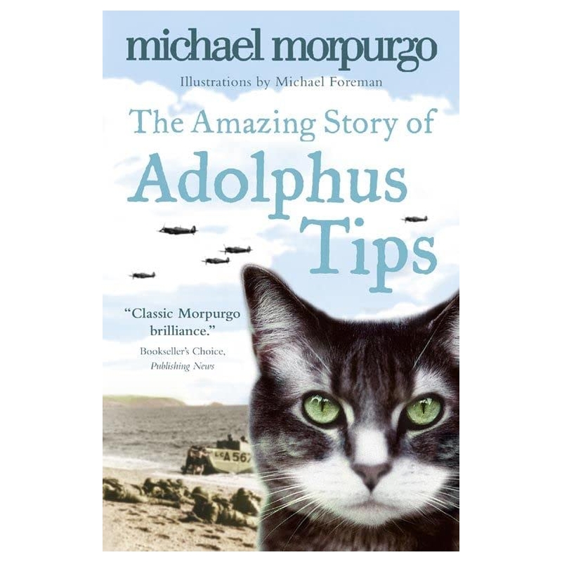 Buy The Amazing Story Of Adolphus Tips in UAE | Mumzworld