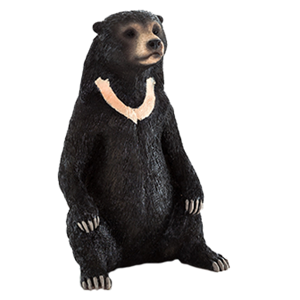 Buy Animal Planet - Mojo Sun Bear Toy Figure - Black in Oman | Mumzworld