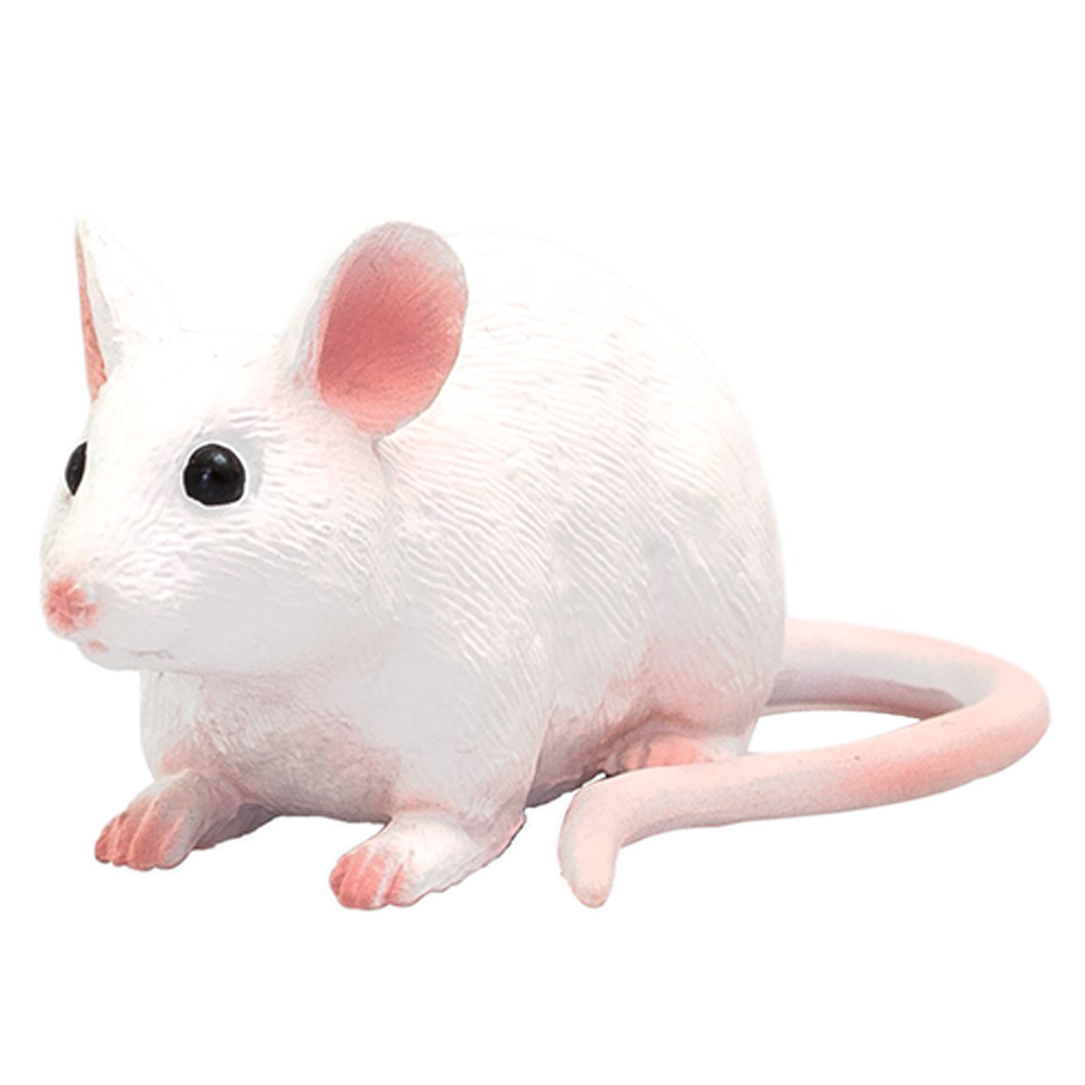 Buy Animal Planet - Mojo Mouse Toy Figure - White in UAE | Mumzworld