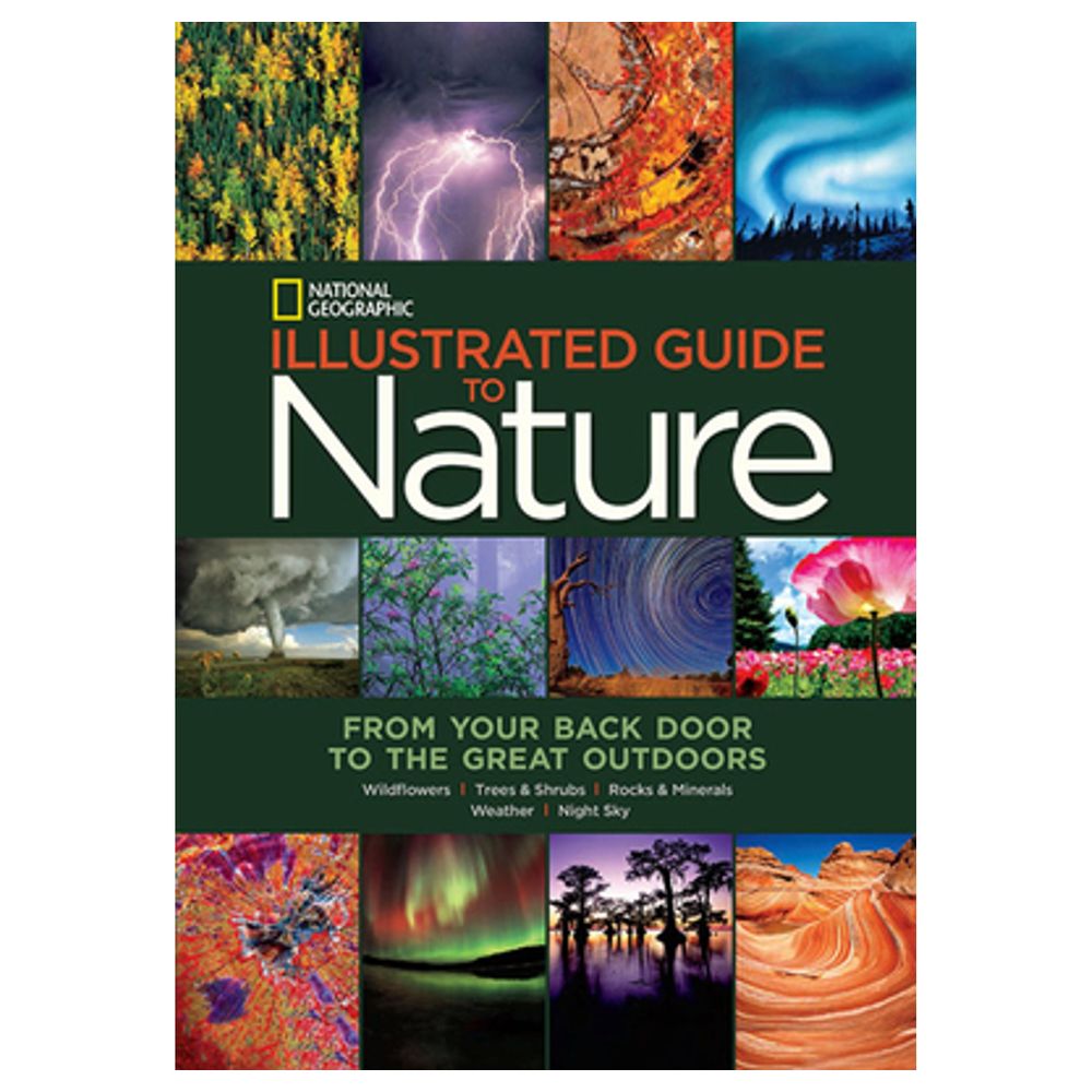 Buy Illustrated Guide to Nature in UAE | Mumzworld