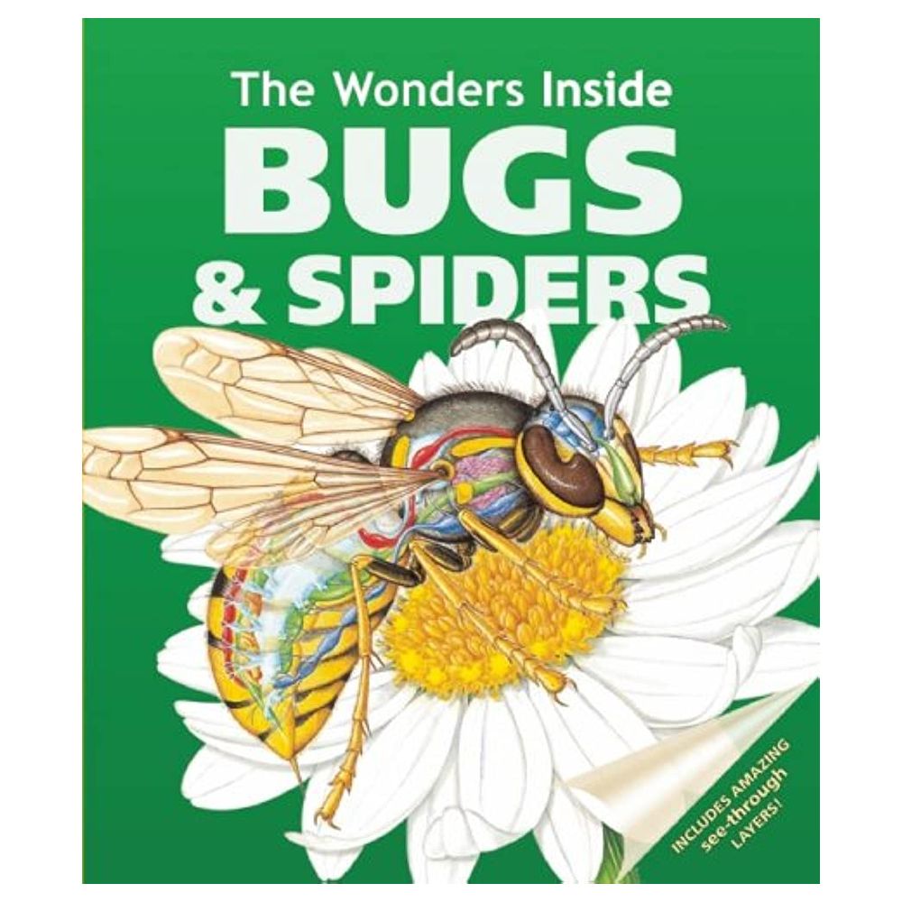 Buy The Wonders Inside Bugs & Spiders in UAE | Mumzworld