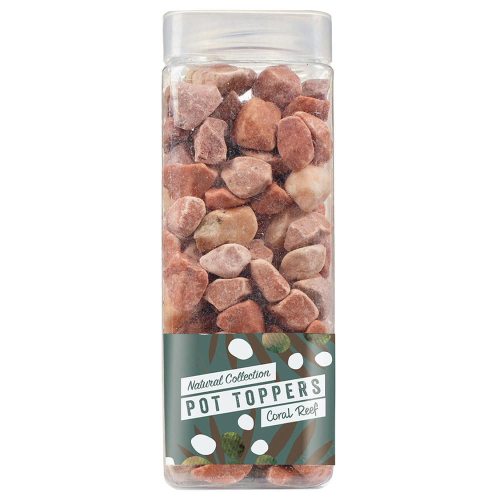 Buy Kelkay - Pot Toppers Coral Reef - 1Kg in UAE | Mumzworld