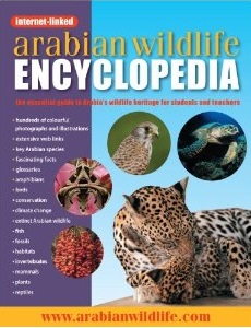 Buy Arabian Wildlife Encyclopedia in UAE | Mumzworld