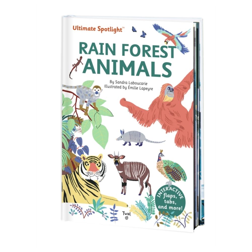 Buy Ultimate Spotlight: Rain Forest Animals in UAE | Mumzworld