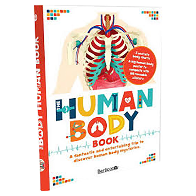 Buy The Human Body Book in UAE | Mumzworld