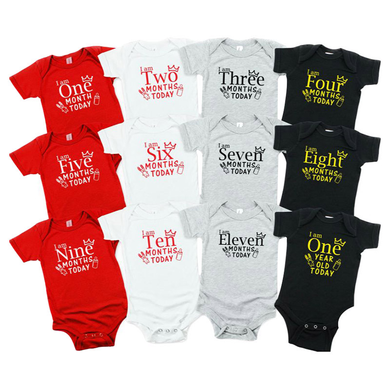 Buy Matching Family Outfits - 12pc-Set Milestone Baby Rompers in UAE ...