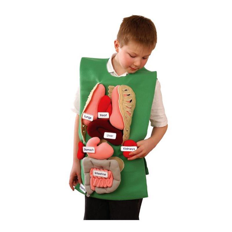 Buy Twoey Toys - Organ Tunics & Organ Sets in UAE | Mumzworld