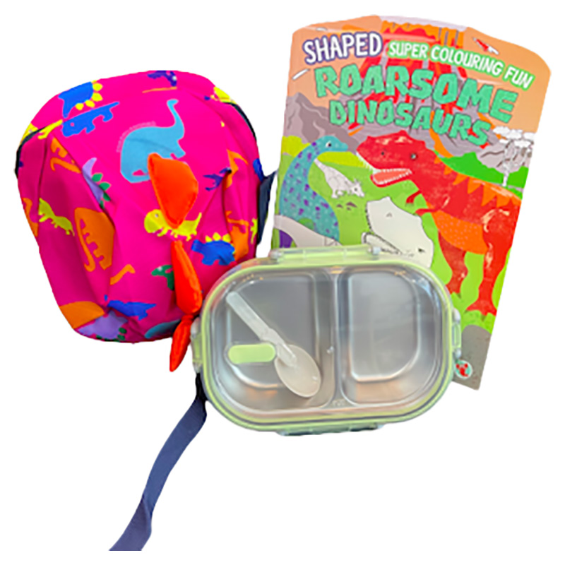 Buy Pinak - Dinosaur Theme Bundle For Girls in UAE | Mumzworld