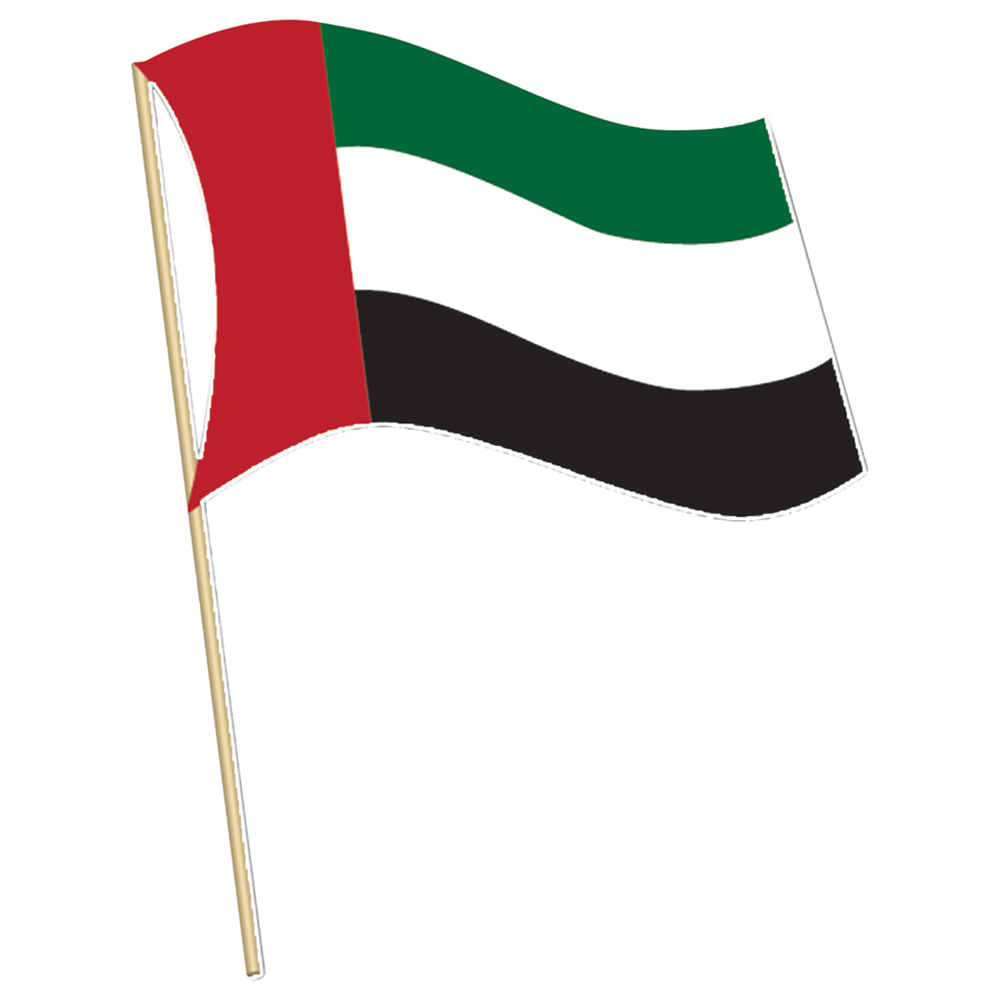 Buy Party Magic - UAE Flag With Wooden Stick in UAE | Mumzworld