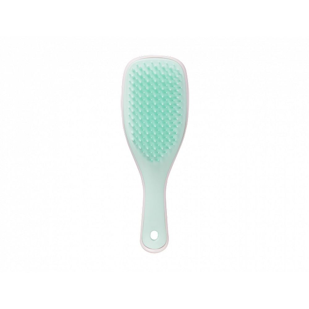 Buy Tangle Teezer - Mini Wet Detangler Mint and Pink in UAE | Mumzworld