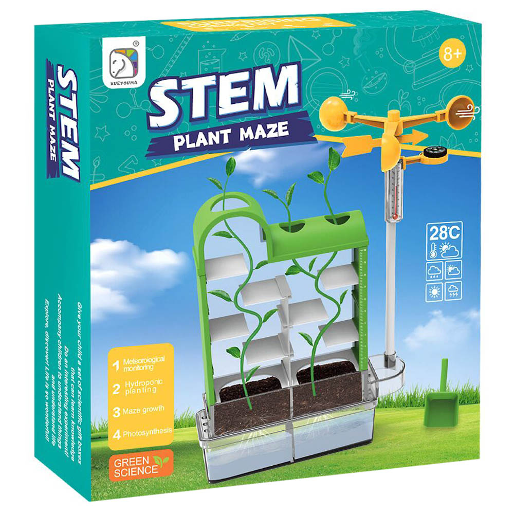 Buy Stem - Stem Plant Maze Kit in UAE | Mumzworld