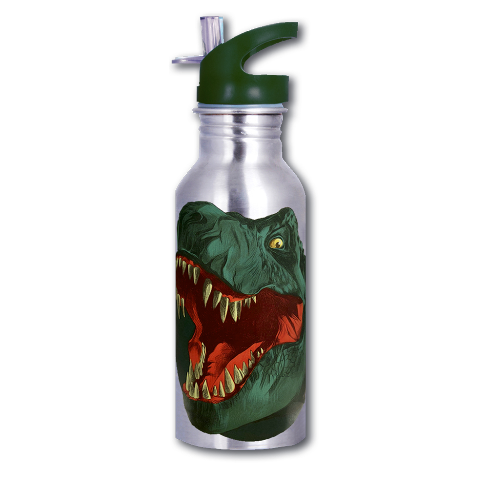 Magic Bottle - T Rex Color Changing Bottle 600ml - Green | Buy at Best ...
