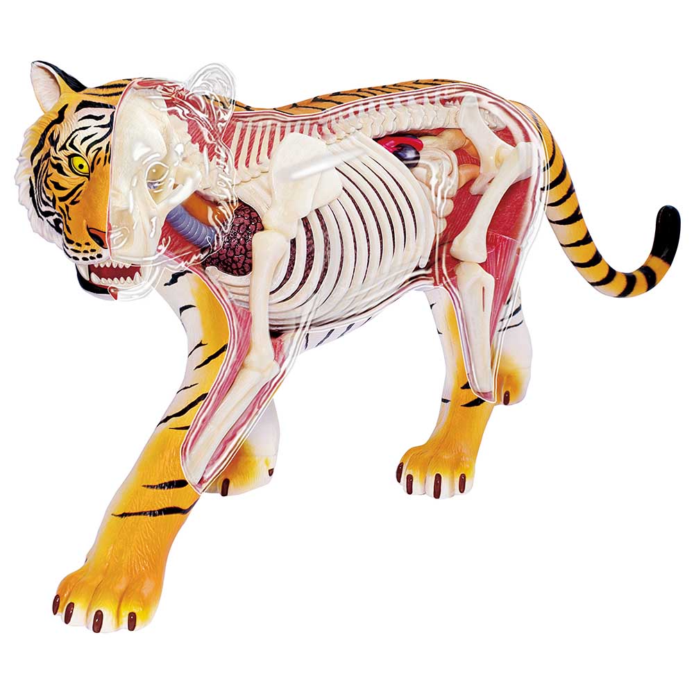 Buy Chap Mei - 4D Vision Animal Tiger - Yellow in KSA | Mumzworld