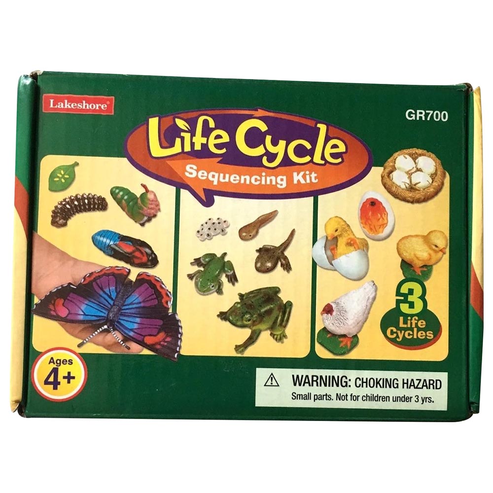 Lakeshore - Life Cycle Sequencing Kit | Buy at Best Price from Mumzworld