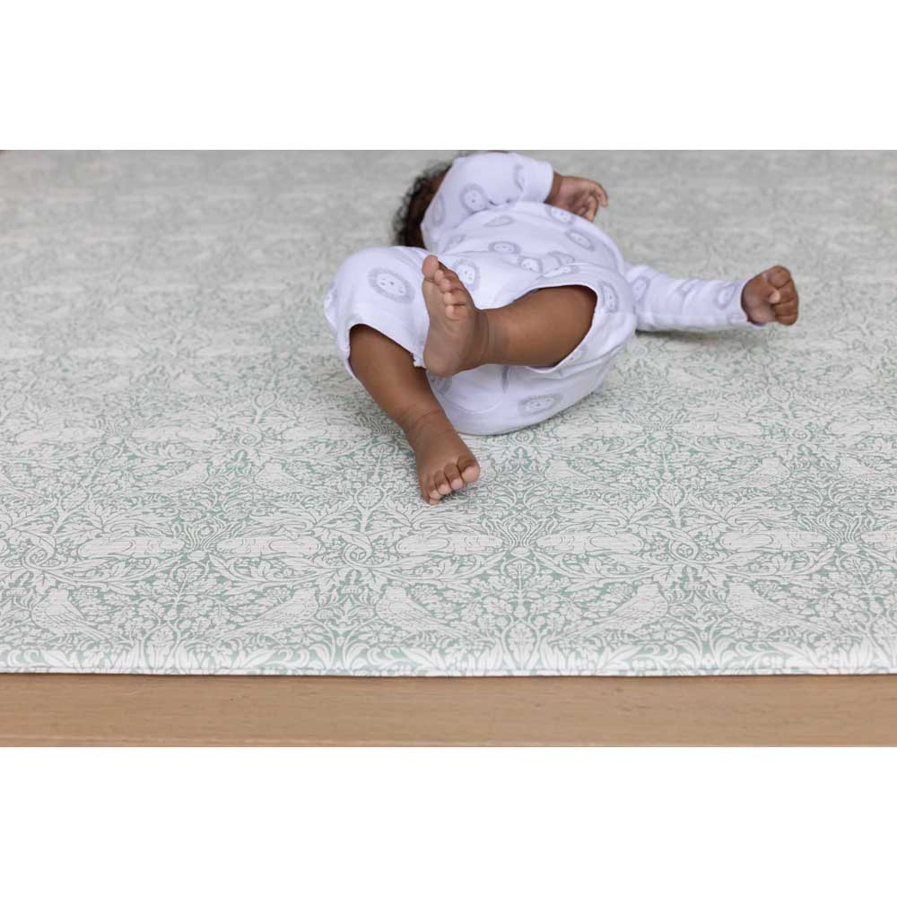 Buy Totter & Tumble The Acorn & Brer Rabbit Playmat Online | Mumzworld